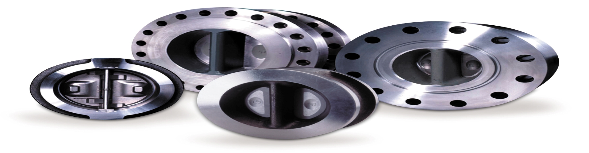 Wafer Lug Type CHECK VALVE – Belfast Controls